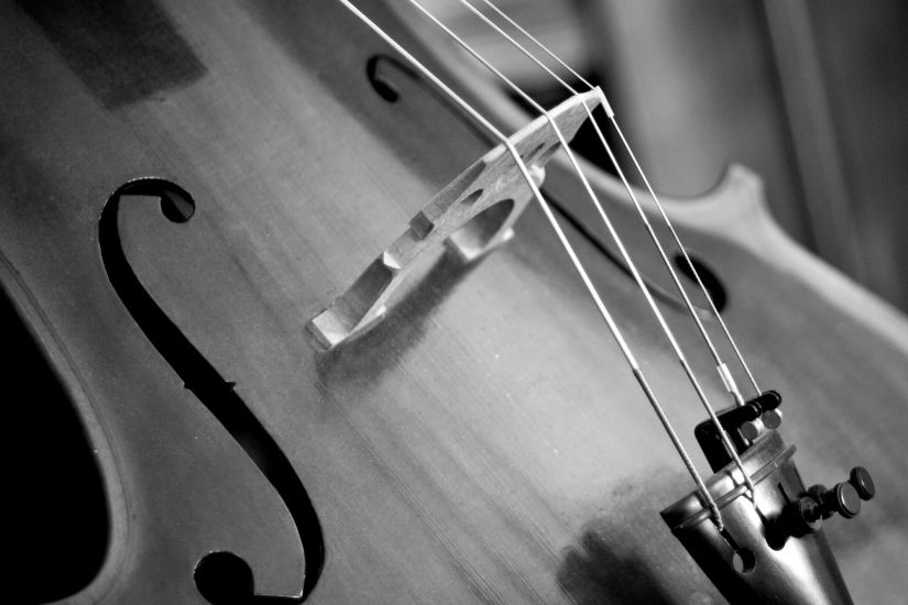 Même instrument, même passion : violoncelle | Quoi vivre à Rimouski